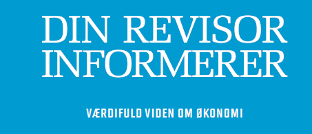 DIN REVISOR INFORMERER